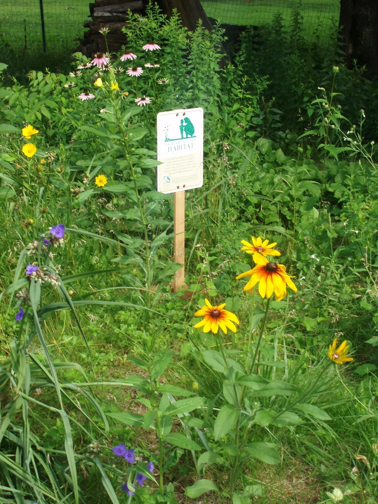 Create Your Own Backyard Wildlife Habitat - Crockett